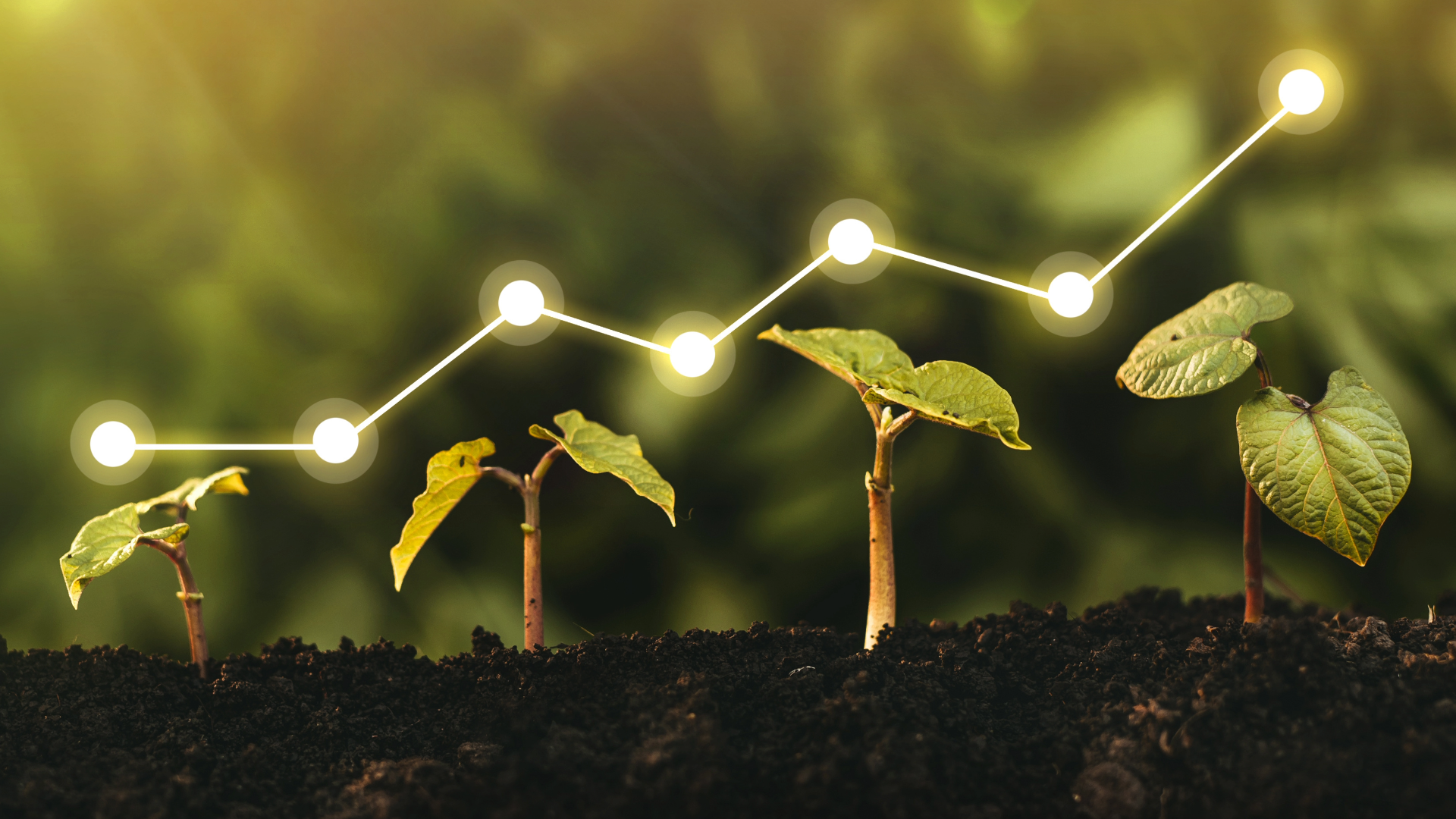 Navigating the Ethical Investment Landscape: The Role of Socially ...